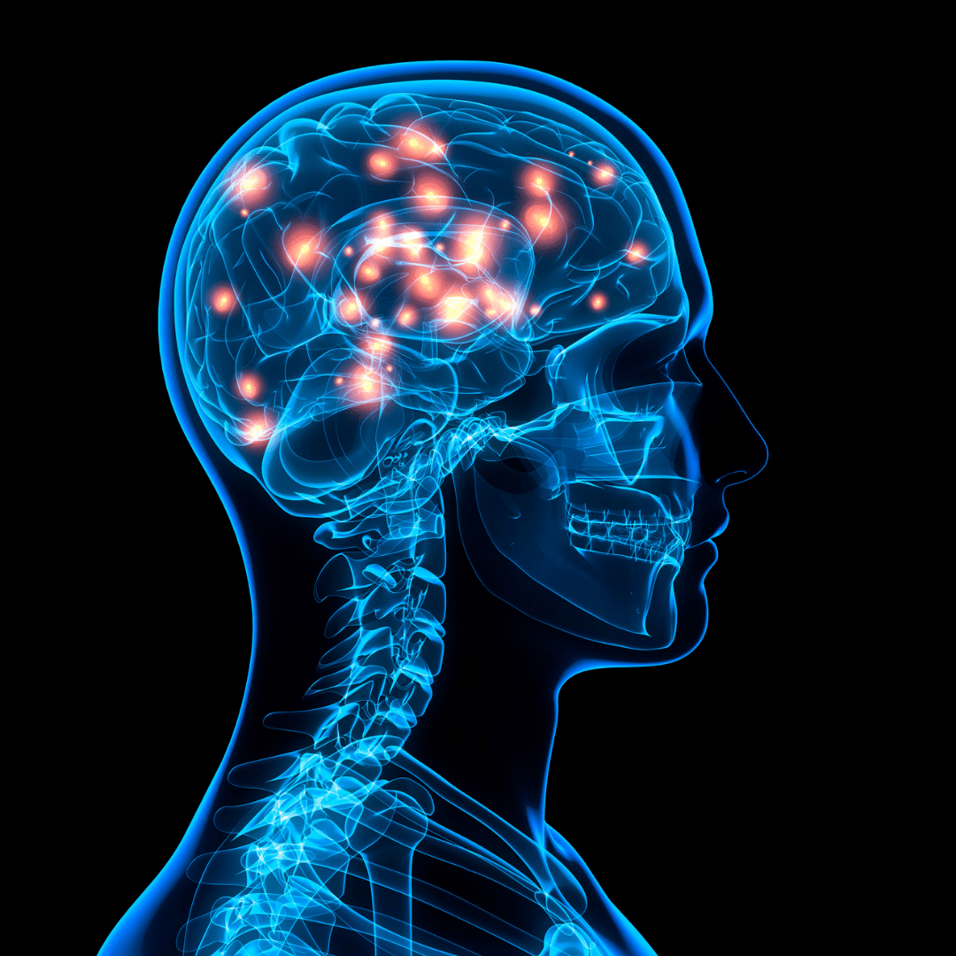 Neuroplasticity and CBT: How Trauma Reshapes the Brain